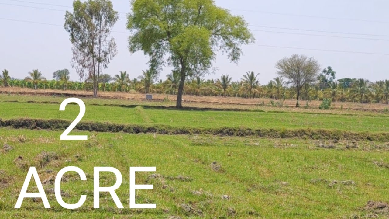 Kq) 2 ACRE | BUILD YOUR FARM HOUSE_FARM LAND AS BIG AS YOUR DREAM ...