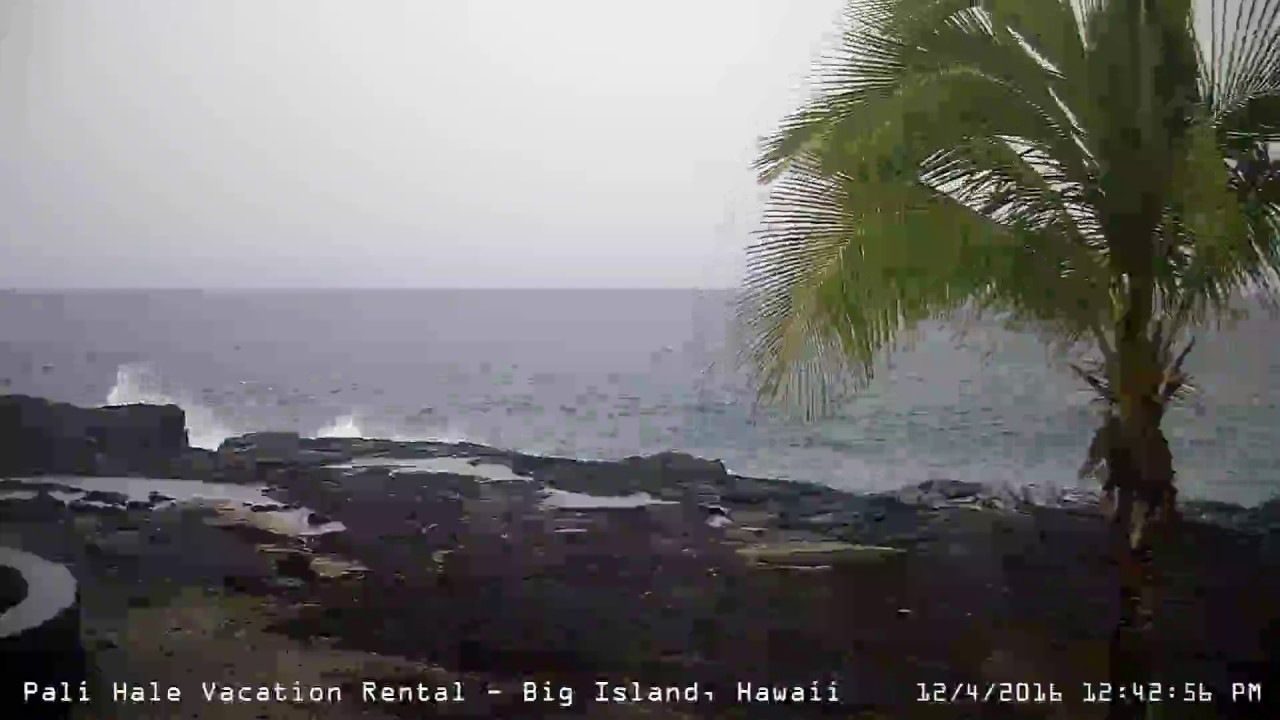 Pali Hale Live Stream from Puna Coast of Kea'au, Big Island Hawaii ...