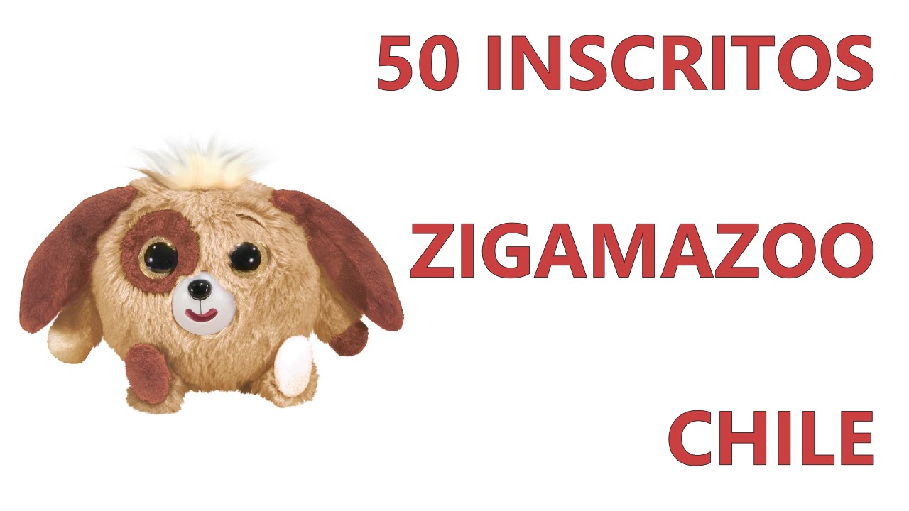 50 Inscritos, Zigamazoo e Viagem ao Chile - YouTube