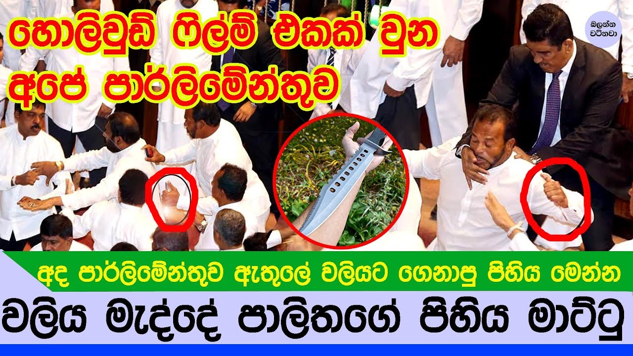 පාර්ලිමේන්තුව මැද්දේ වලියට පාලිත ගෙනාපු පිහියේ ඡායාරූප පිටවෙයි ...