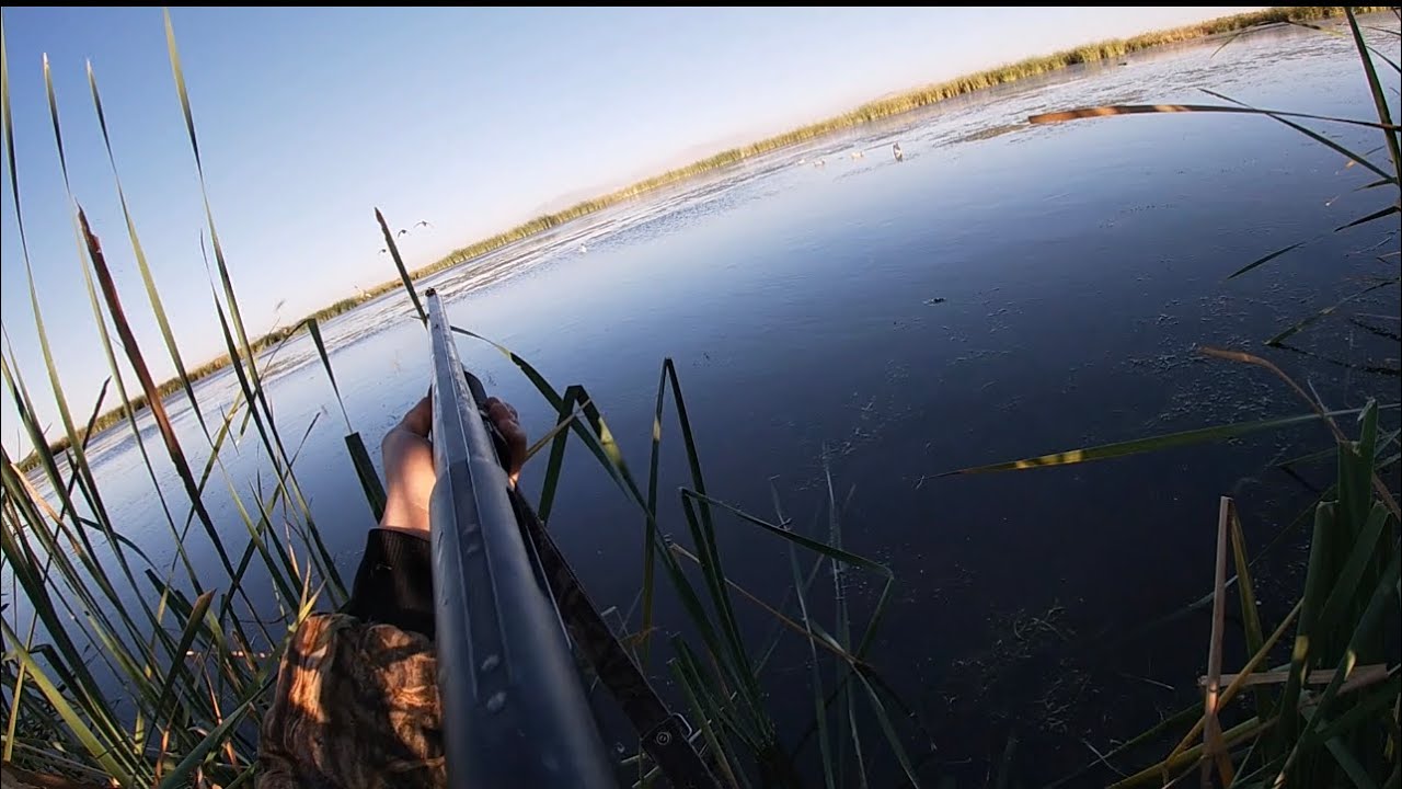 PUBLIC marsh SOLO duck hunt~ UTAH 2022 - YouTube