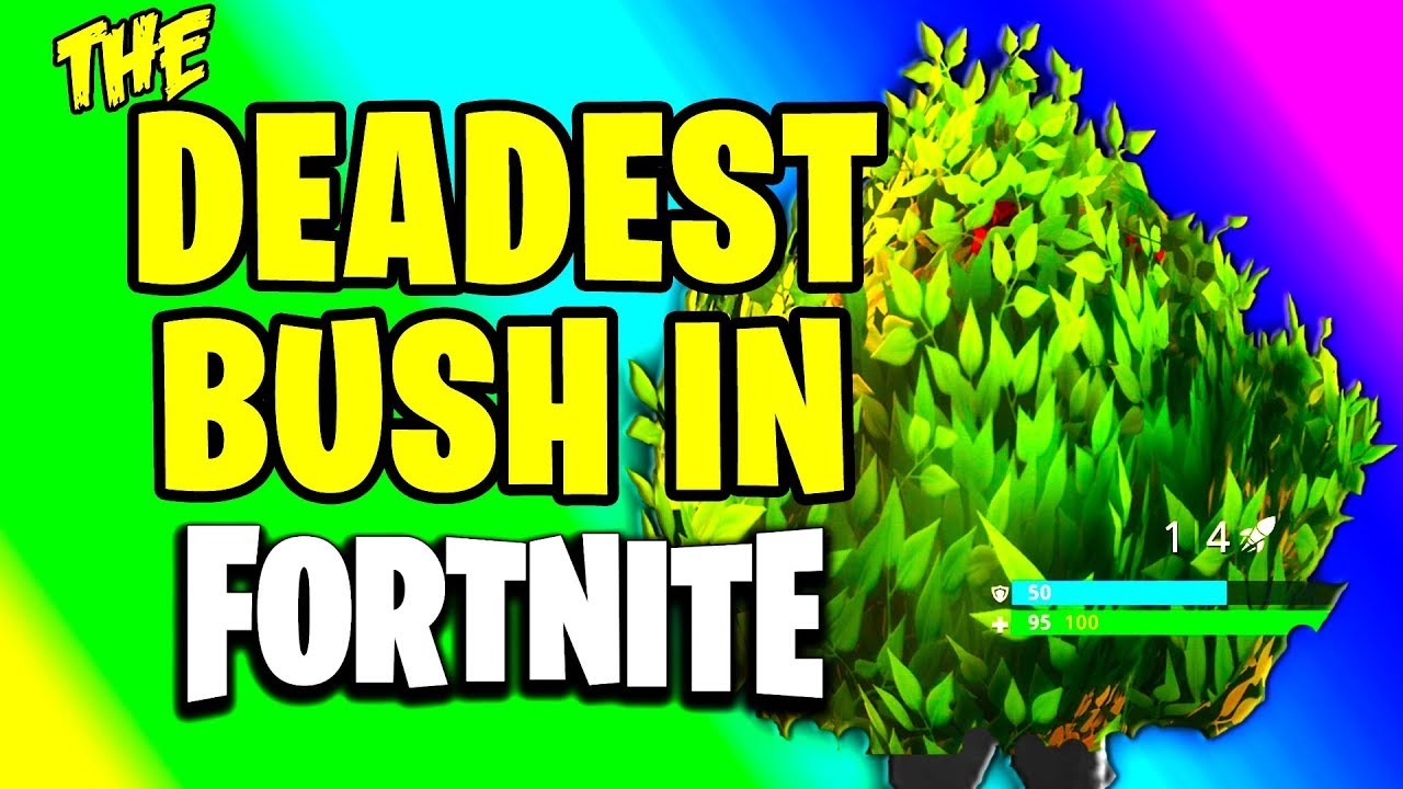 THE DEADLIEST BUSH IN FORTNITE! (Fortnite Battle Royale) - YouTube