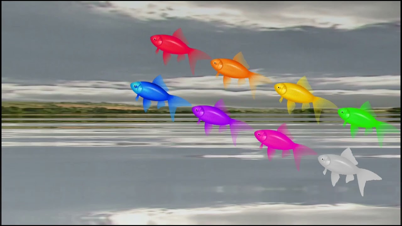 Magic Fish Animation (Free To Use) - YouTube