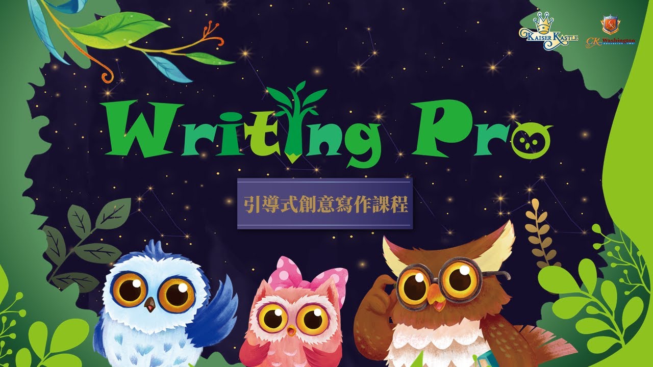 Writing Pro 英文寫作新手的入門推薦書 - YouTube
