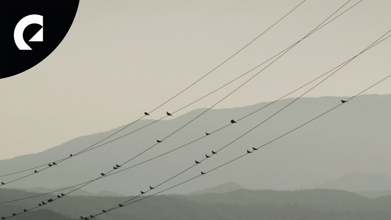 Hanna Lindgren - The Growing Became a Pause - YouTube