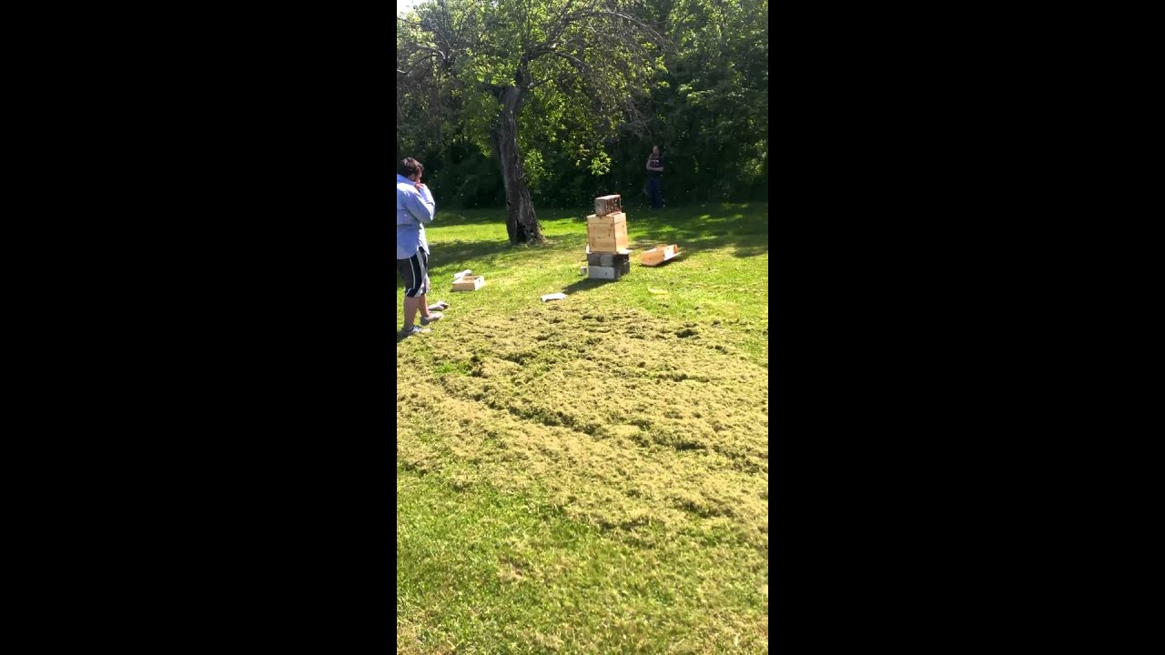 Swarm of 5,000 bees attack man - YouTube