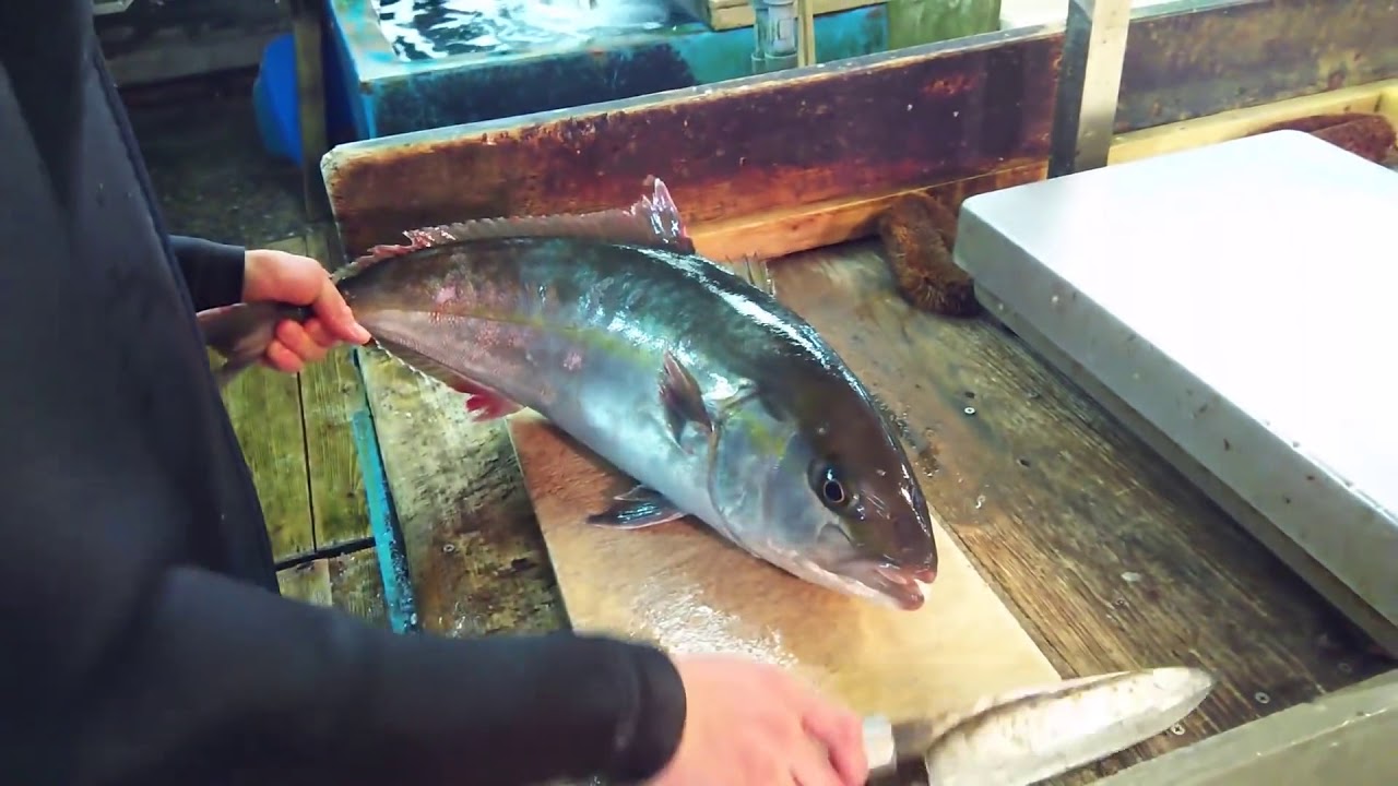 Live fish cutting in Japan fish market - YouTube