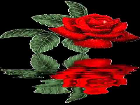 ibrahim tatlises bileydim     YouTube