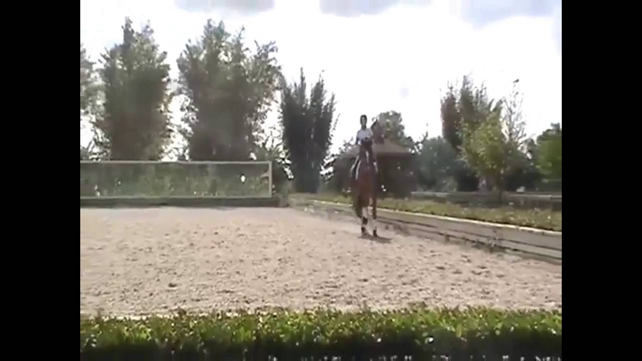 How to Ride Half Pass to Flying Change - YouTube