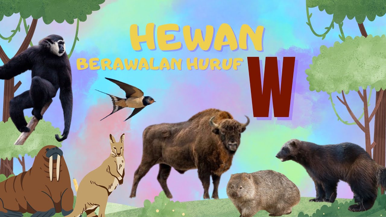 Belajar Mengenal Hewan Berawalan Huruf W | Video untuk Balita | PAUD ...