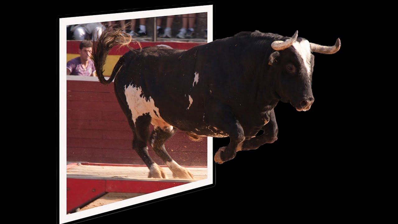 TORO RATÓN EL VIDEOCLIP - YouTube
