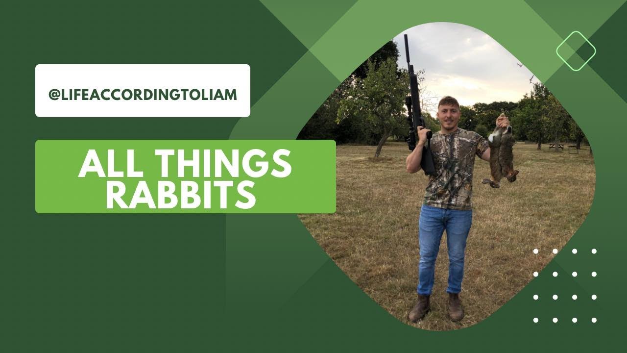 Rabbit Shooting with .22 AIR RIFLE - YouTube