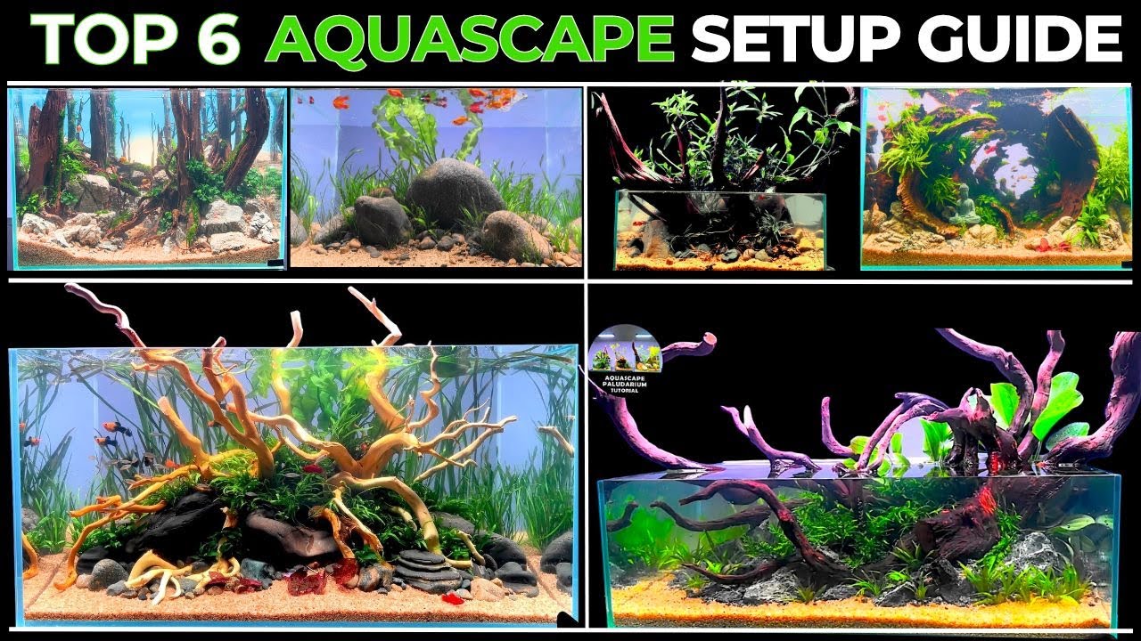 Top 6 Creatives Nature Style Aquascaping by Aquascaping Amazing ...