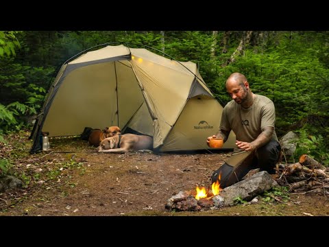 Camping Deep in The Forest With Lightweight Hiking Tent