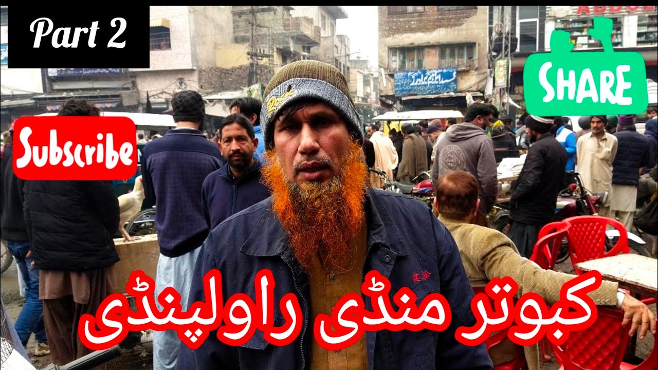 kabuter mandi part 2 dingi khoi raja bazar،#pegionsvideos #shortfeed # ...