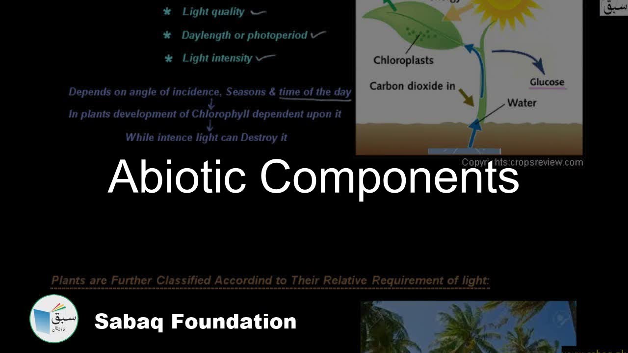 Abiotic Components, Biology Lecture | Sabaq.pk - YouTube