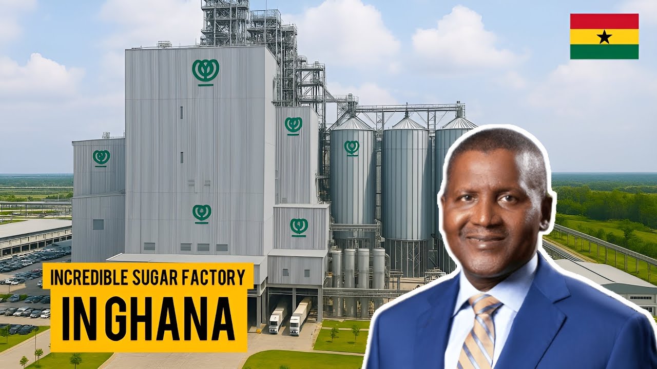 Dangote's Sugar Processing Plant in Ghana To Help Save $162 Million in ...