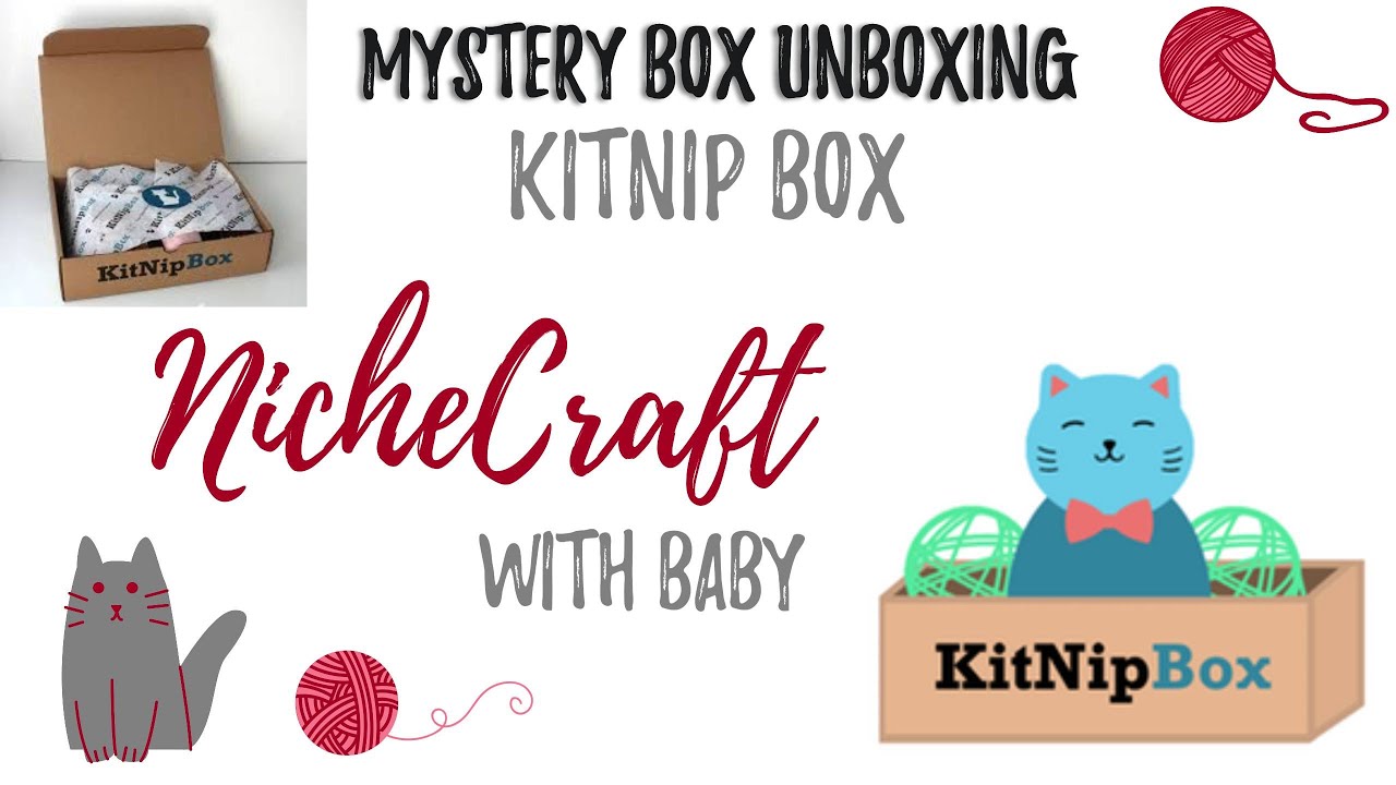 Kit Nip Monthly Pet Subscription Box Unboxing | NicheCraft with Baby ...