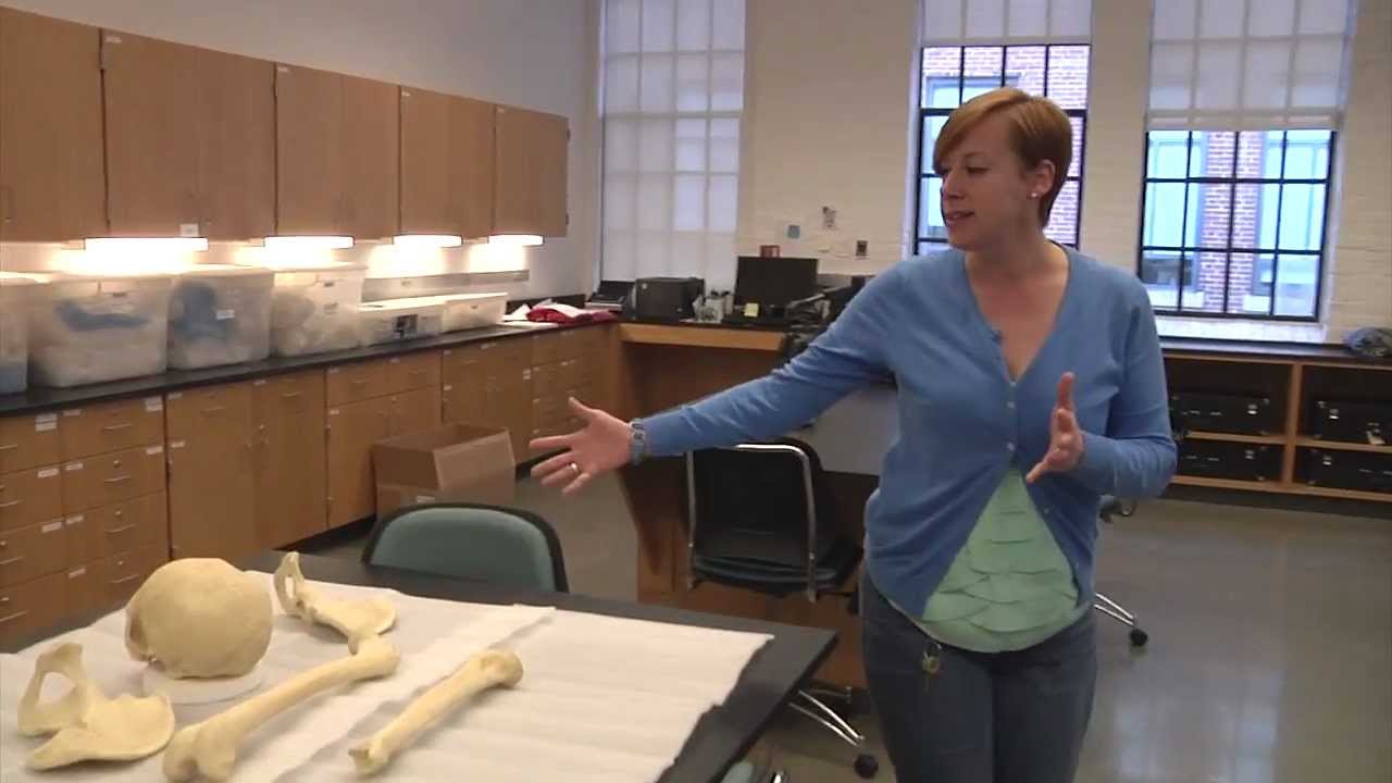 NC State Osteology Lab Tour - YouTube