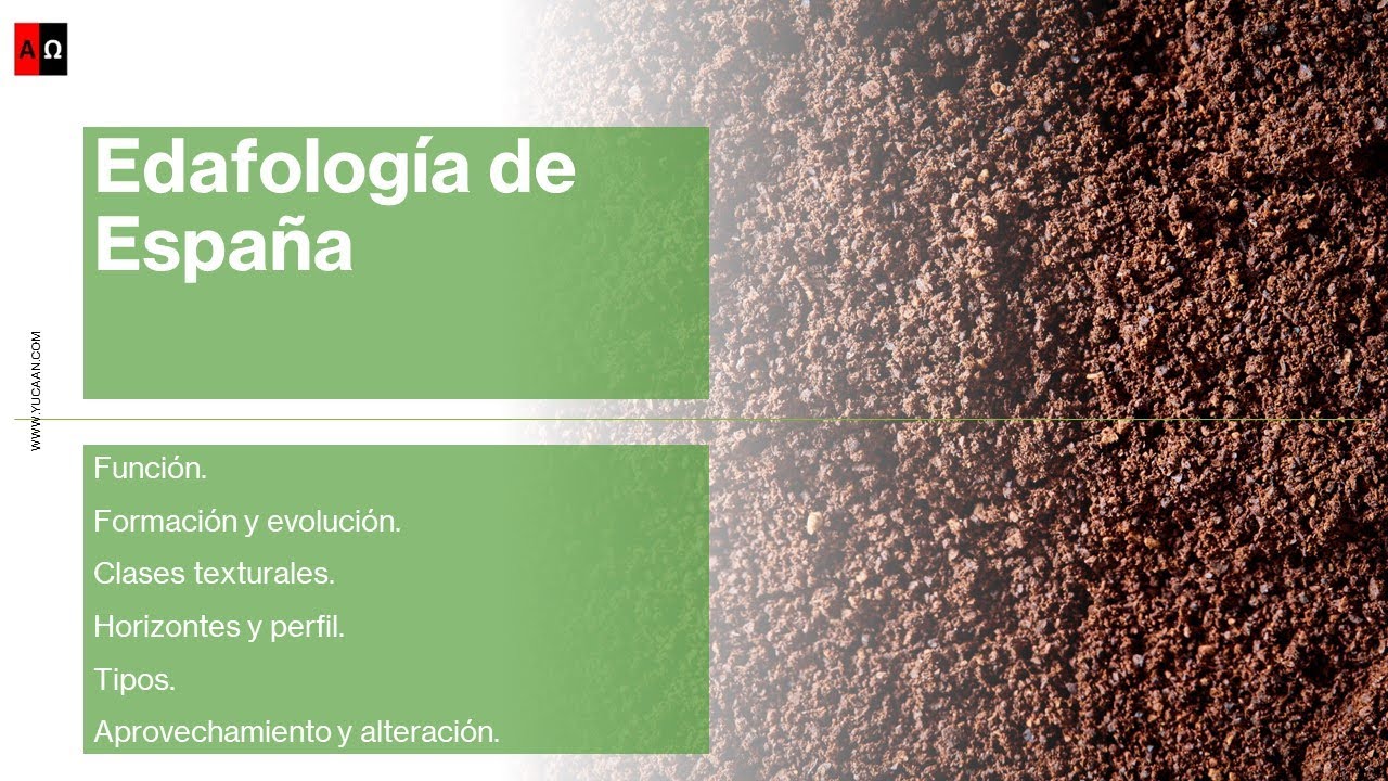 Edafología de España: Tipos, características, formación, evolución ...