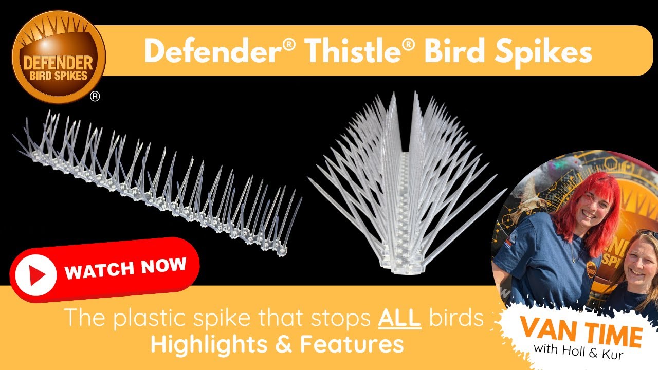 Defender® Thistle® Bird Spikes | Features & Highlights - YouTube