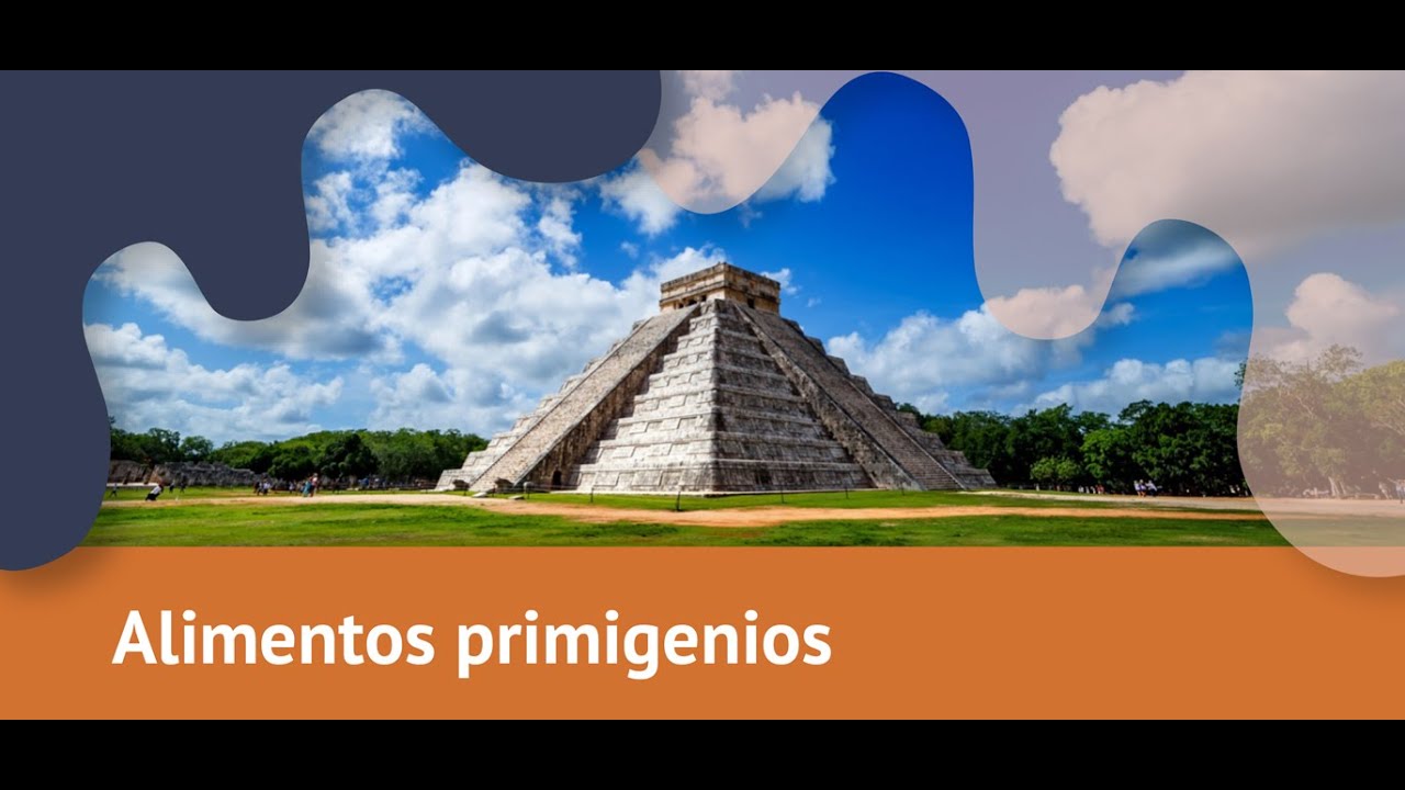 Alimentos primigenios - YouTube