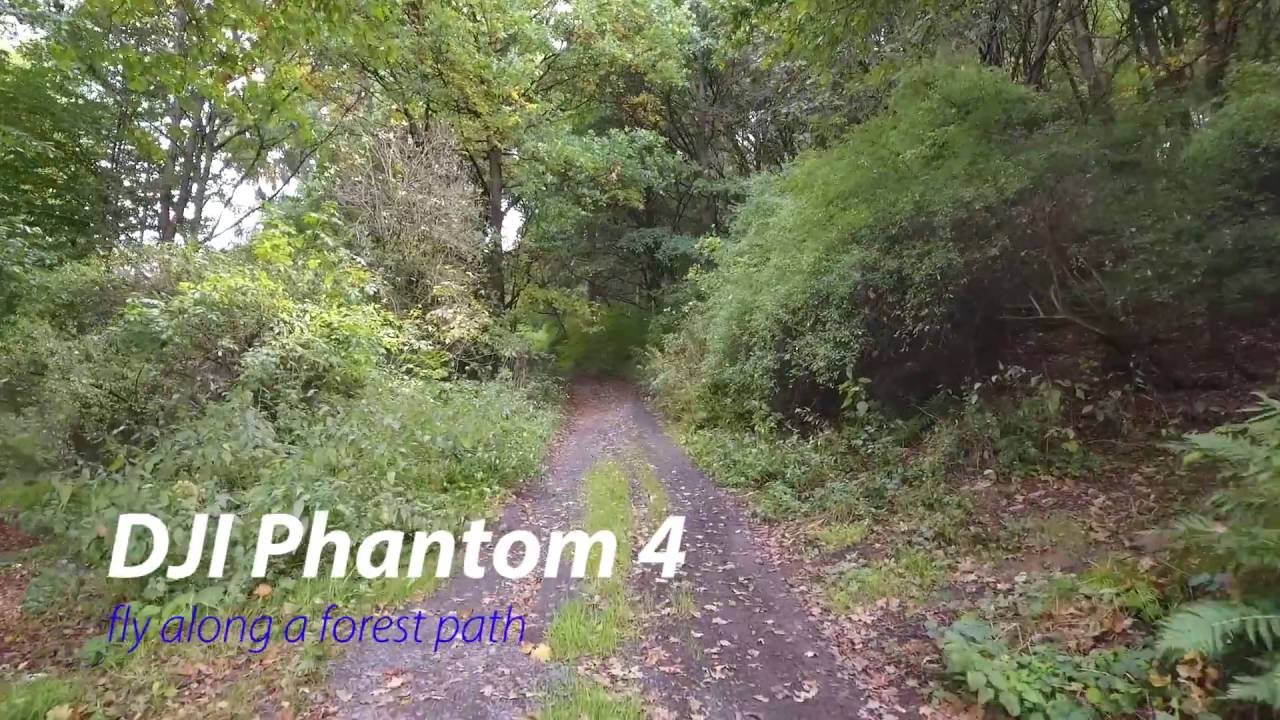 DJI Phantom 4 fly along a forest path - YouTube