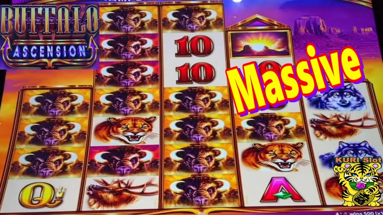 ★MASSIVE BUFFALO WIN !!!!★BUFFALO ASCENSION Slot (Aristocrat)☆Revenge ...
