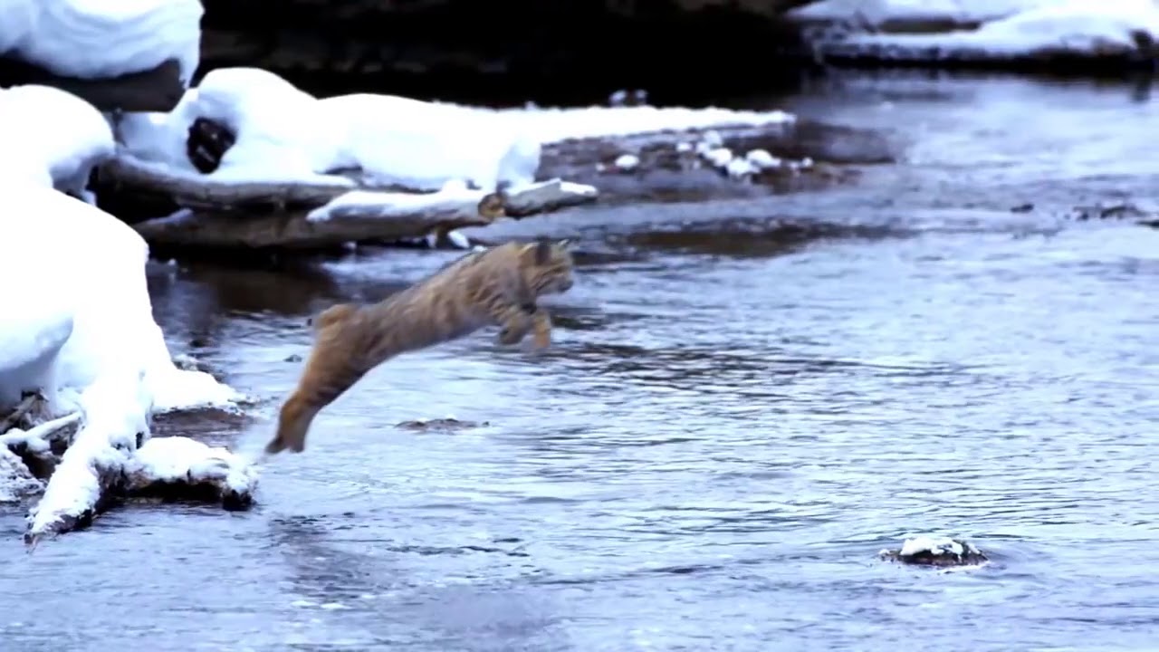 Epic Slow motion - YouTube