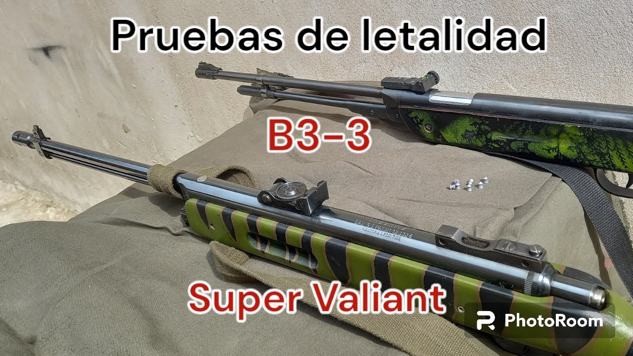 Prueba de letalidad con rifles de aire comprimido B3 -3 y Super Valiant ...