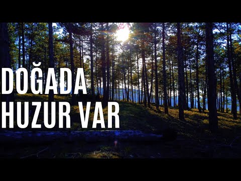 Doğada huzur var doğanın ruhu