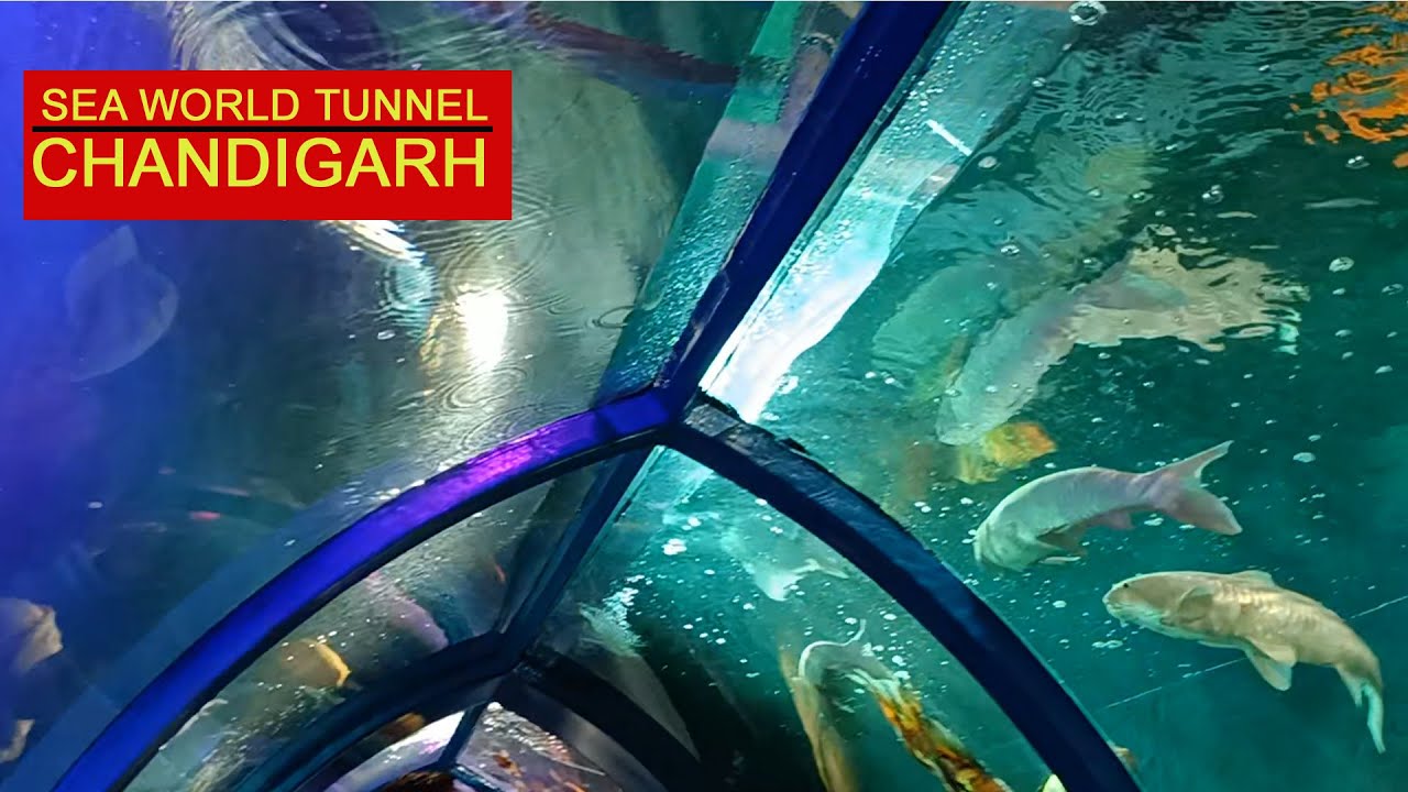 Sea world Carnival Chandigarh I Under Water Fish Water I Dubai Carval I ...