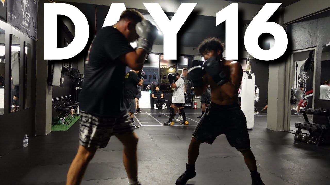 Becoming the Best Boxer on Guam - Day 16 - YouTube