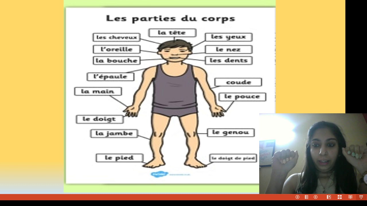 Les Parties du corps( The parts of the body) - YouTube