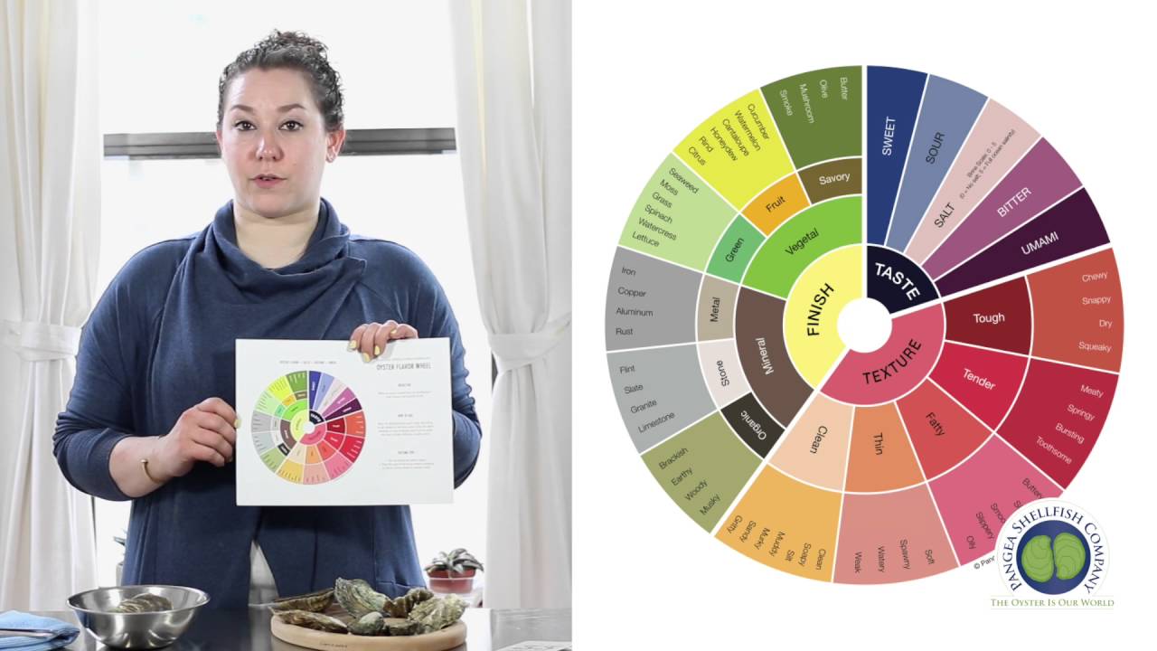 Tasting Oysters with the Pangea Shellfish Oyster Tasting Wheel - YouTube