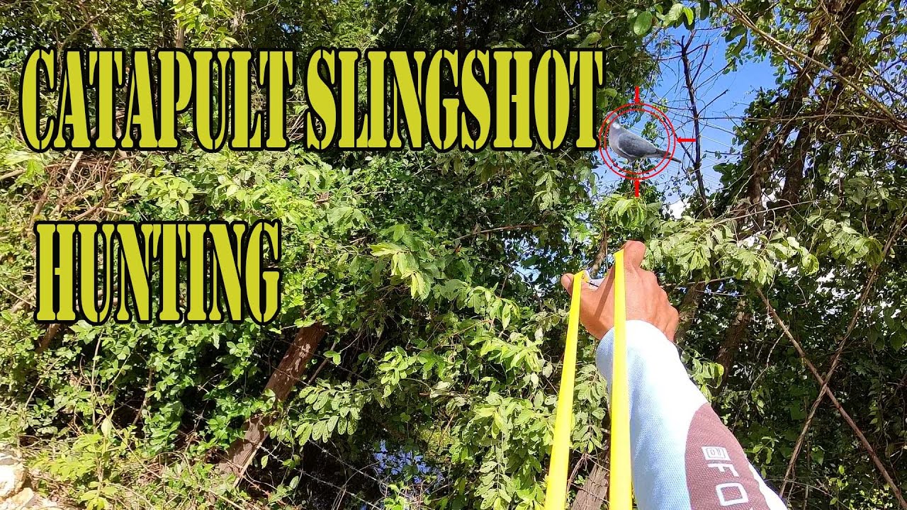 Let's go hunting EP# 37 CATAPULT SLINGSHOT HUNTING ...