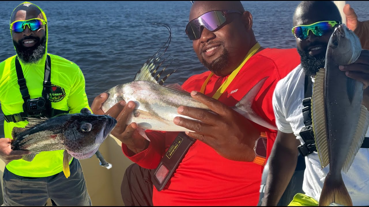 AMAZING ACTION: Ocean Whitefish (Tilefish), Grouper, Roosterfish in Los ...