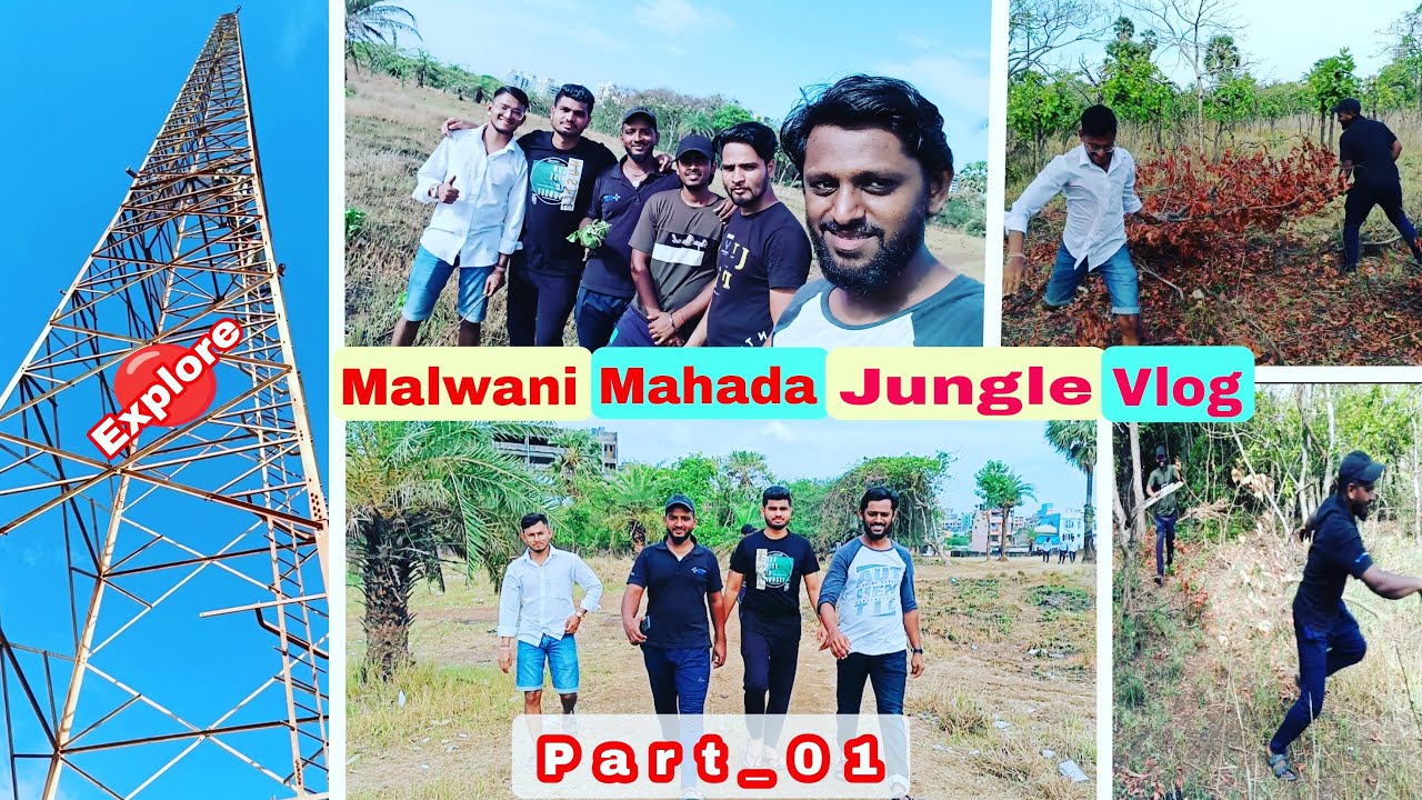 Explore Jungle in Malwani Mahada - YouTube