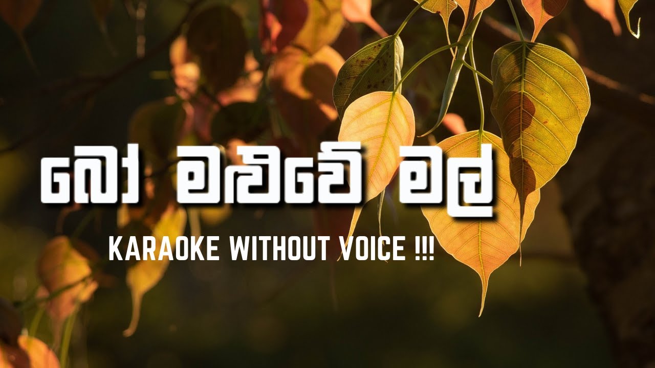 Bo Maluwe Mal Karaoke Without Voice | බෝ මළුවේ මල් | Karaoke.LK ...