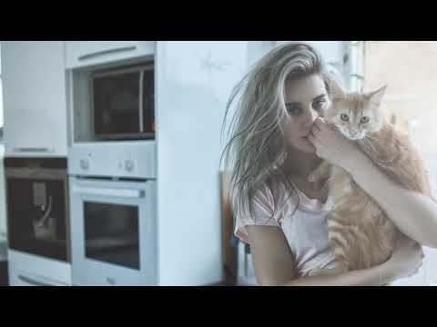 Ain't My Fault - Zara Larsson (R3HAB Remix) [ 1 Hour Loop - Sleep Song ]