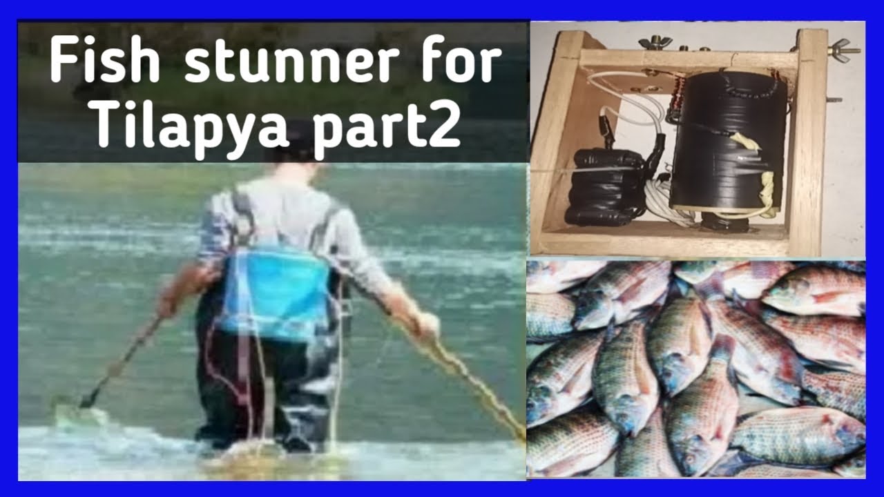 How to make fish shocker using contact point for tilapya? part2 - YouTube