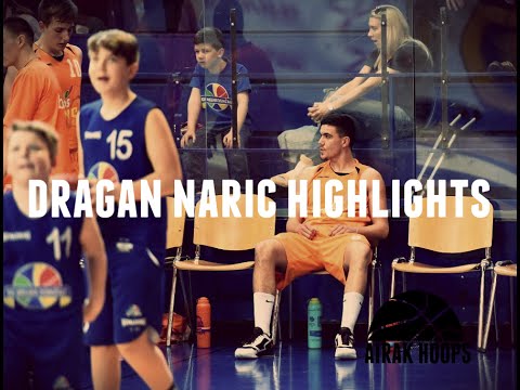 Dragan Narić Highlights
