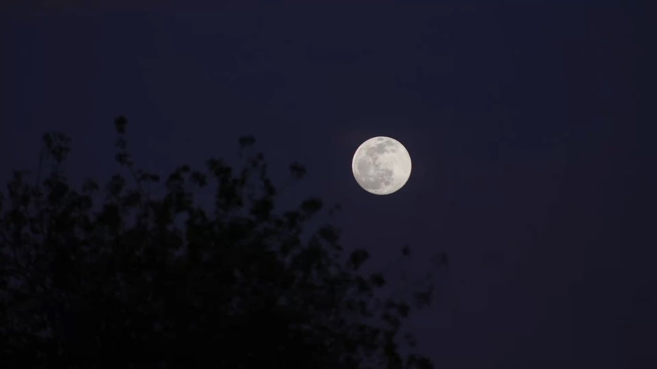 [Playlist] 겨울의 달, 네가 보고 싶은 | the winter moon & songs - YouTube