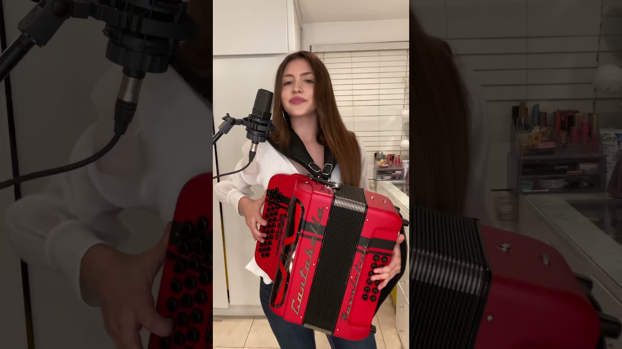 Te Aprovechas -Grupo Límite (Cover Acordeón) Irany - YouTube