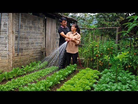 CEO Tu and Tieu Huyen worked together to renovate the vegetable garden to improve their lives.