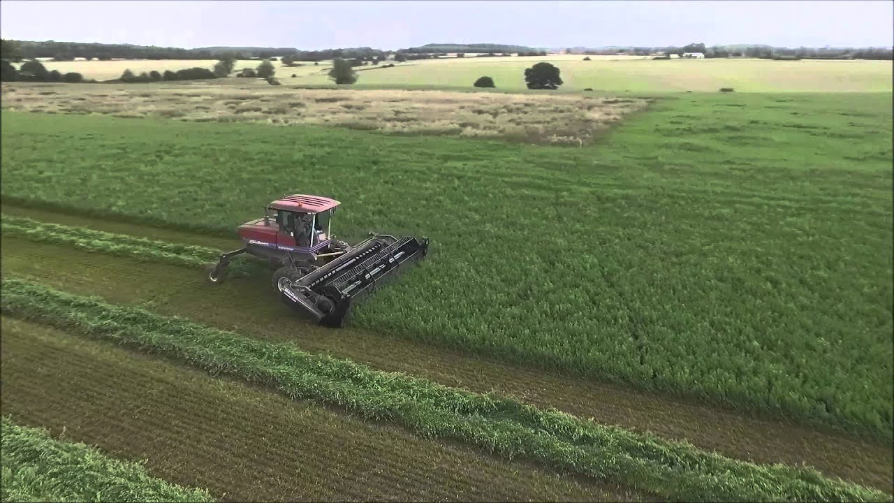 cutting lucerne - YouTube