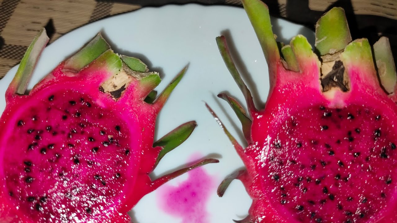 Growing Dragon fruit flower blooming #viral #trending#viral # - YouTube