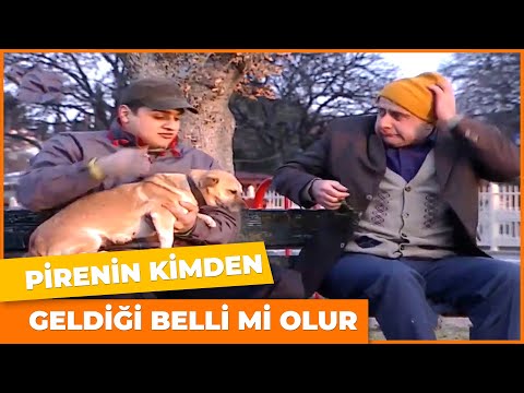 Adamdan Pireyi Kaptın Sarıbaş - Fıkralarla Türkiye