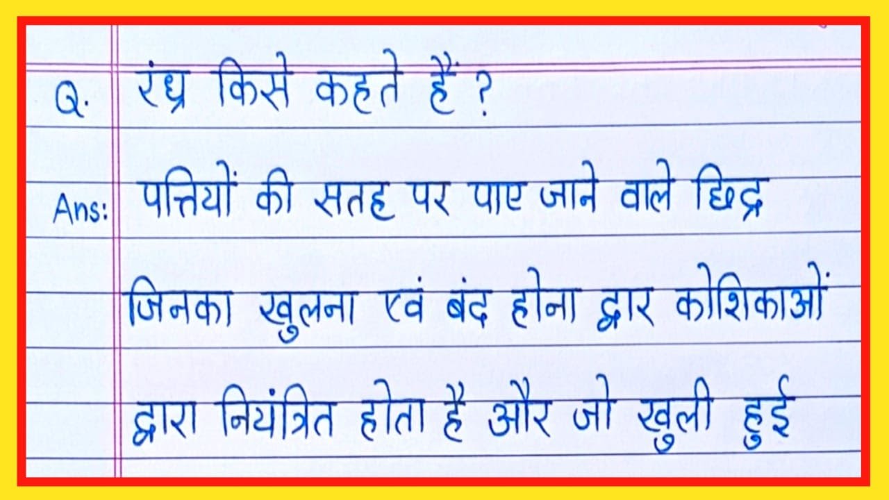 रंध्र किसे कहते हैं/randhra kise kahate hain/randhra kya hai/रंध्र क्या है/randhra ki paribhasha ...