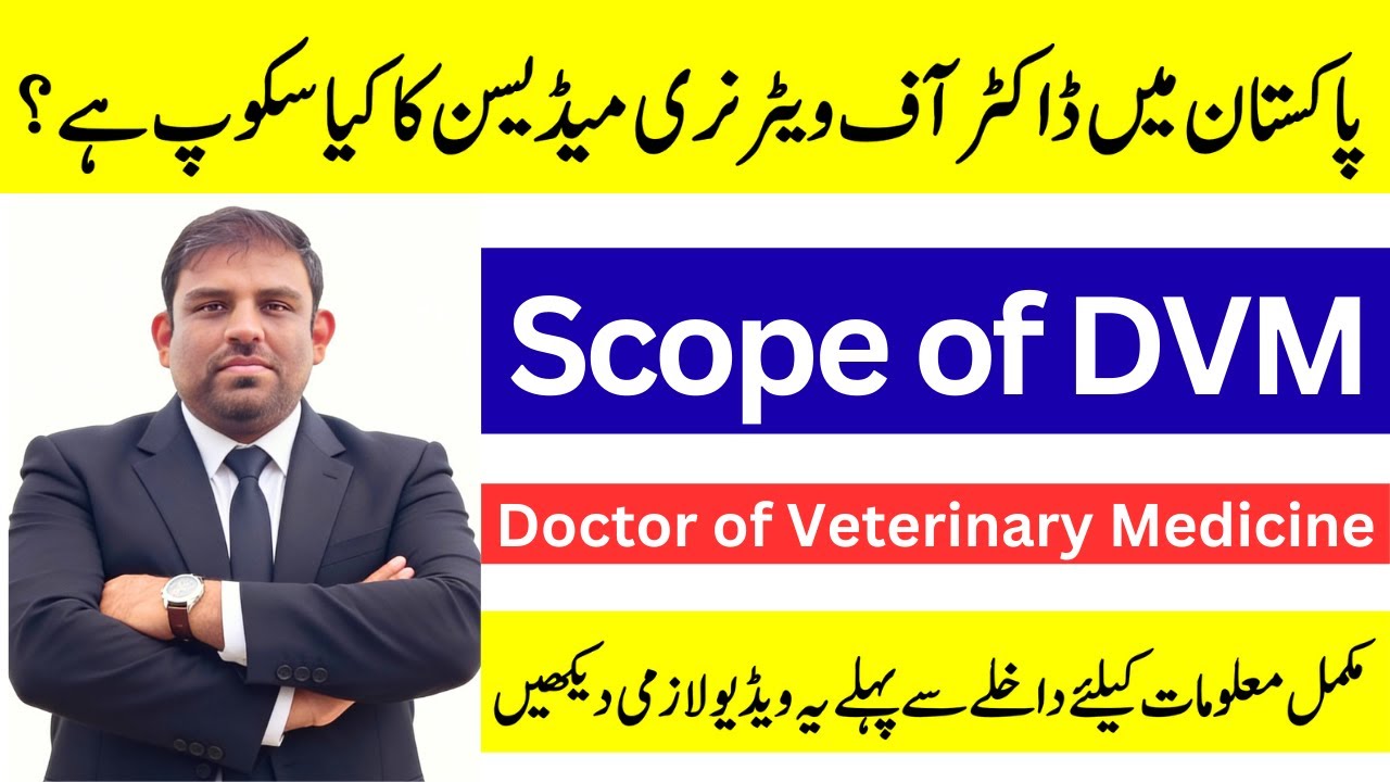 What is DVM in Pakistan | Doctor of Veterinary Medicine | Scope in Hong Kong | Urdu - YouTube